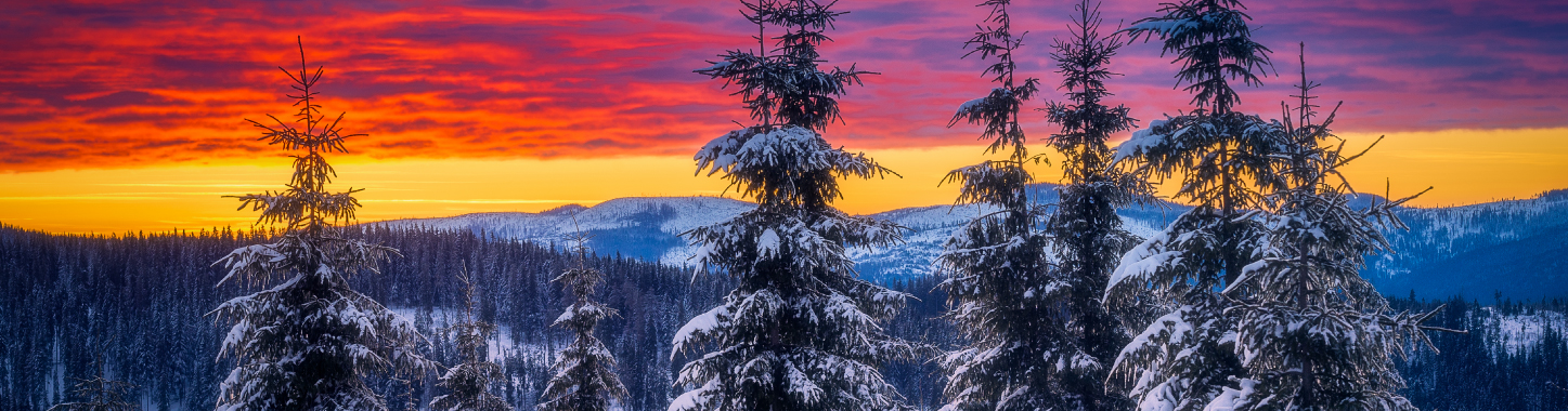 Exim Banca Românească - Exim - Banca Romaneasca